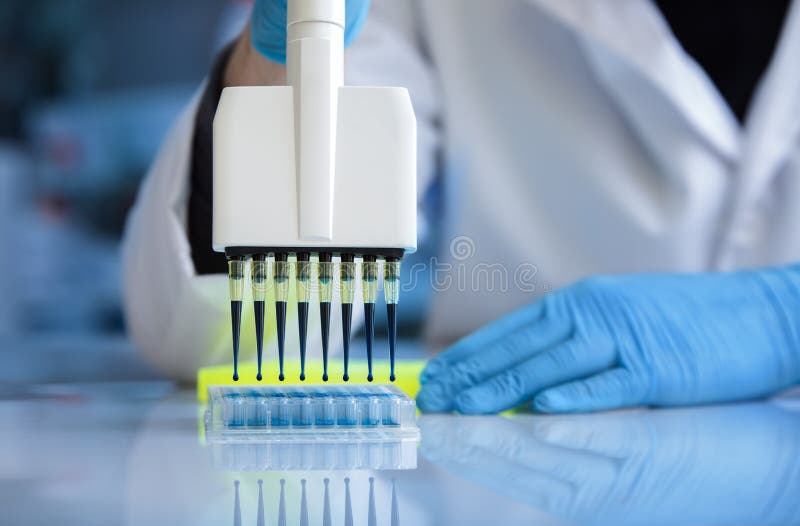 Biochemical Engineer Working in a Laboratory Experiment Stock Image ...