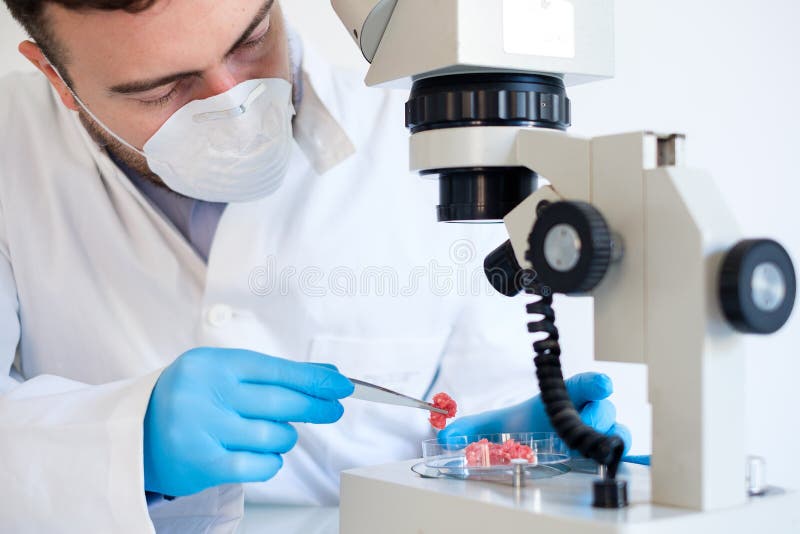 Fresh Meat Sample Quality Control in Laboratory Microscope Stock Photo ...
