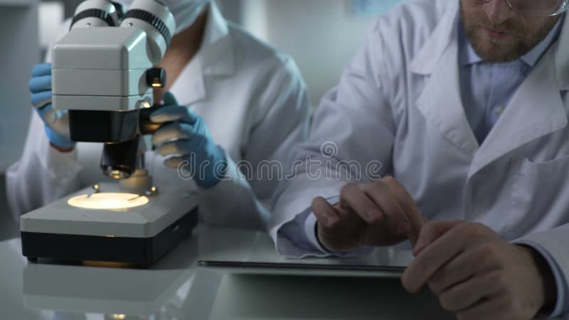 Researcher Studying Sample Under Microscope, Assistant Making Records ...