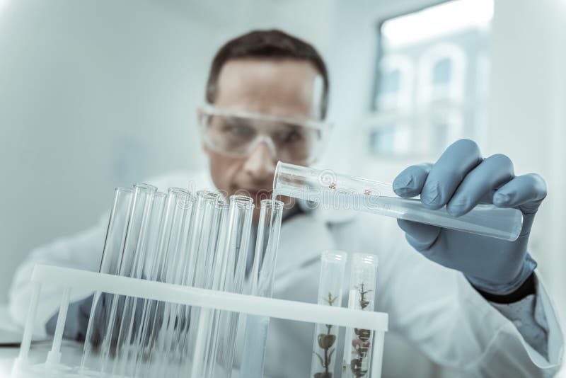 Accurate Scientist Pouring Liquid in Empty Test Tube Stock Image ...