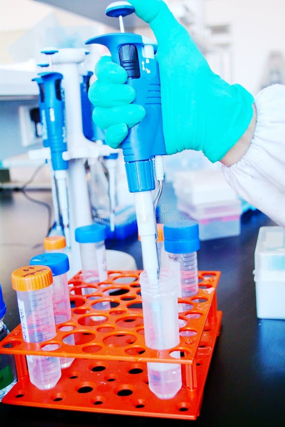 Researcher Use Transfer Liquid Gun Stock Photos - Free & Royalty-Free ...