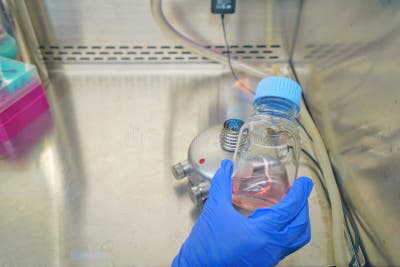 Kill the Pathogen or Bacteria and Prevent the Contramination in the ...