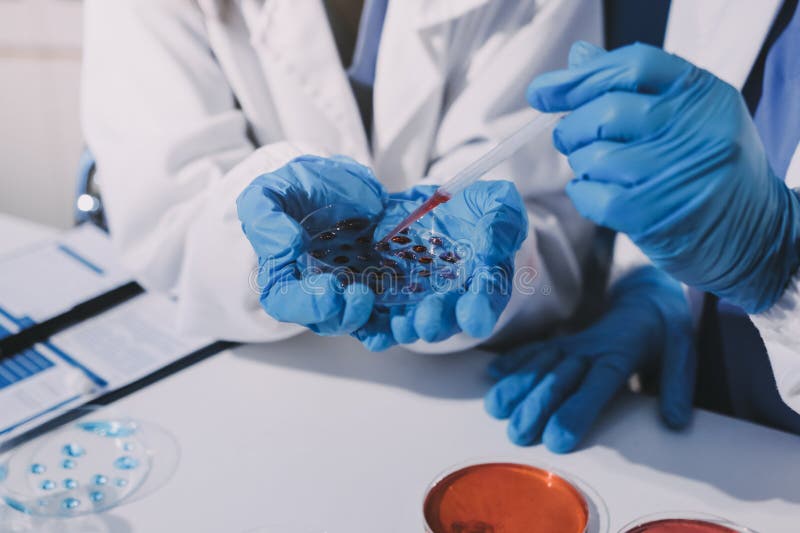 Researcher Using a Professional Microscope Stock Image - Image of ...