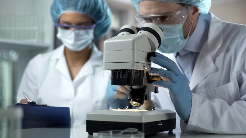 Laboratory Workers Analyzing Grain Samples in Petri Dish, Experiment ...