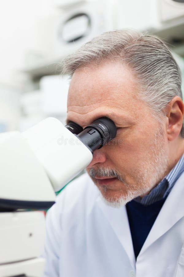 Researcher at Work Using a Microscope Stock Photo - Image of experiment ...