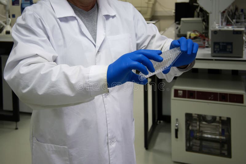 Researcher in the Workplace Stock Photo - Image of sample, equipment ...