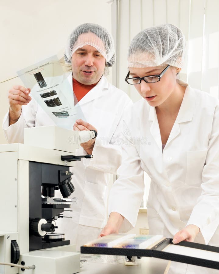 Researchers Examine Results of DNA Analysis Stock Photo - Image of ...