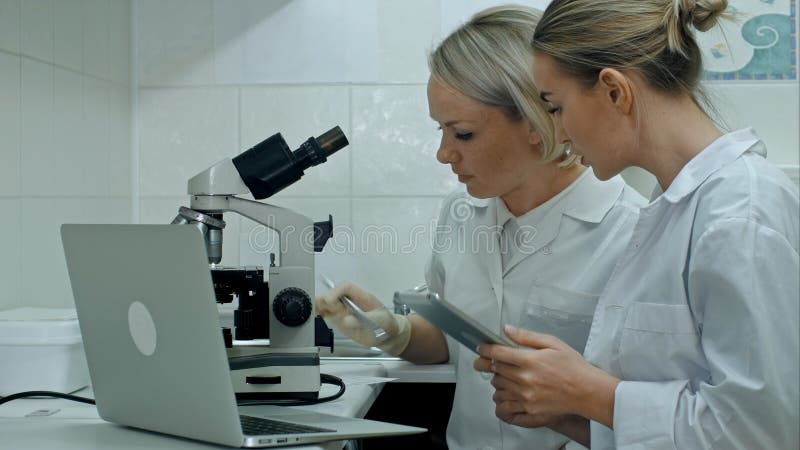 Researchers in Labcoats are Checking the Samples on Microscope in ...