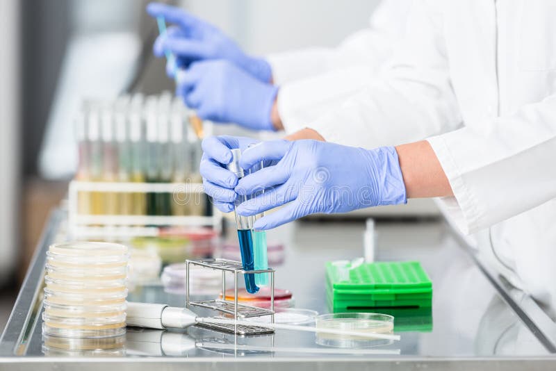 Researchers Preparing Samples for Experiments in Laboratory Stock Photo ...