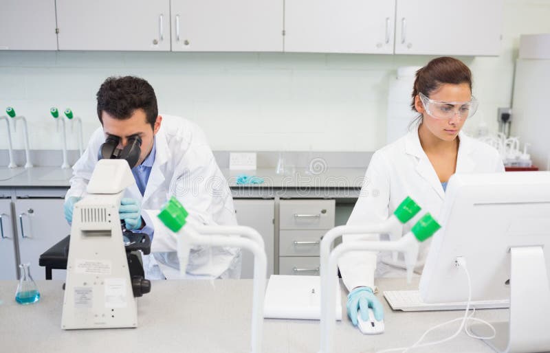 Researchers Using Microscope and Computer in the Lab Stock Photo ...