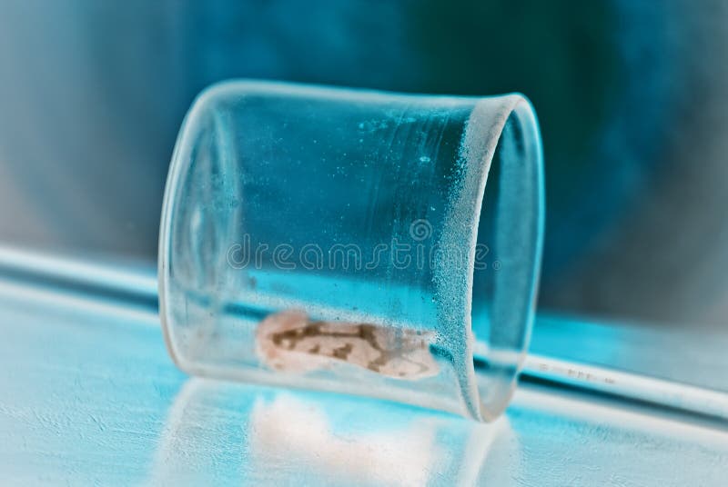 Pill in water stock photo. Image of medical, bubble, aspirin - 2357028
