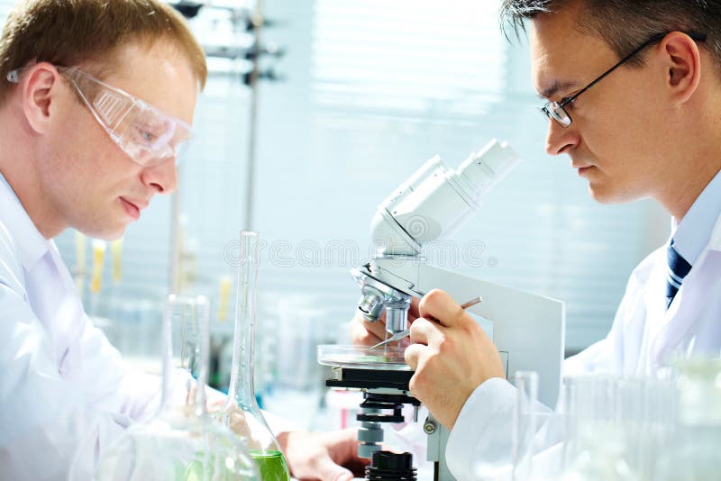 9,707 Researching People Stock Photos - Free & Royalty-Free Stock ...