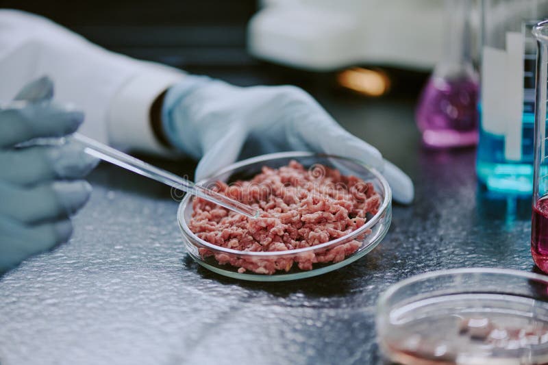 Researching Lab-Grown Meat Using Scientific Methods Stock Image - Image ...