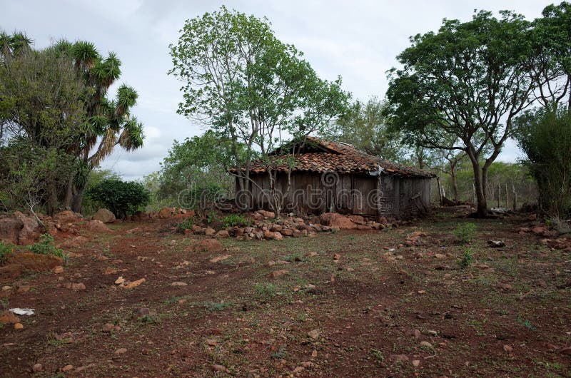 Reserva De Naturaleza De Miraflor Foto de archivo - Imagen de recorrido ...