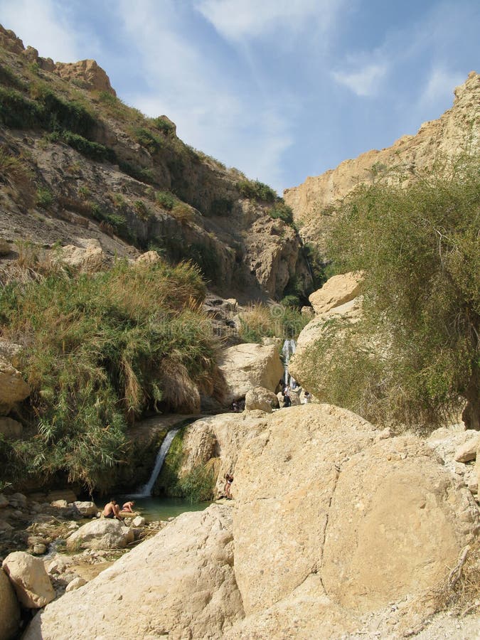 Ein Gedi -Israel stock image. Image of outdoor, dead - 18383681