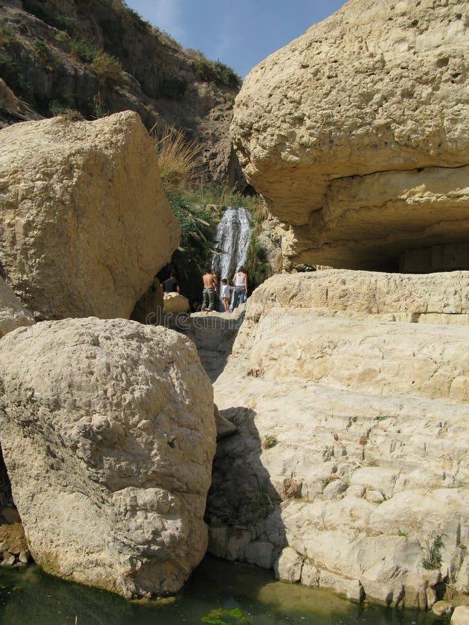 Reserve Ein Gedi, Israel editorial image. Image of gedi - 74389090