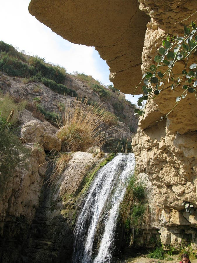 Reserve Ein Gedi, Israel stock photo. Image of national - 74388908