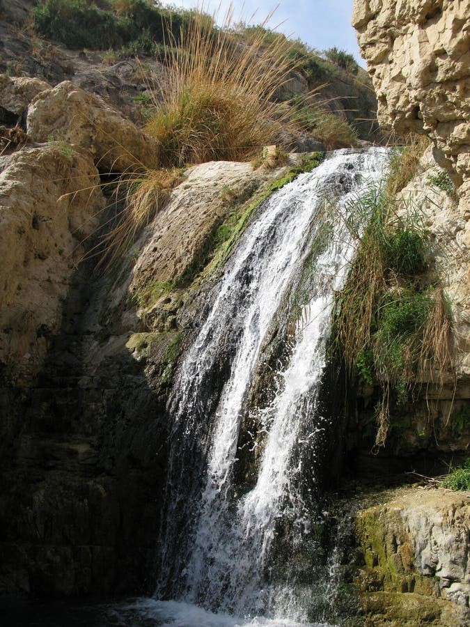 Reserve Ein Gedi, Israel stock photo. Image of national - 74390056