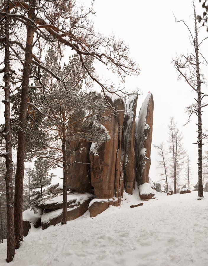 Reserve Krasnoyarsk Pillars in the Winter. Feathers Pillar. Stock Image ...