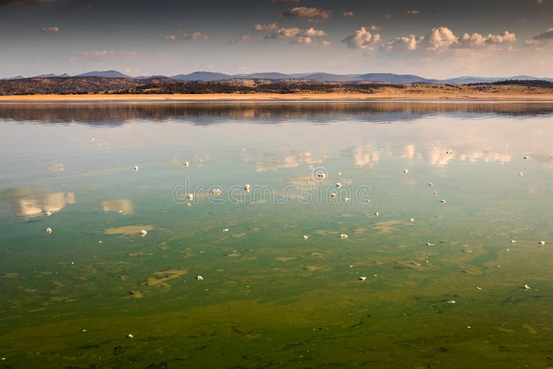 Reservoir almost Empty Due To Drought Stock Photo - Image of field ...