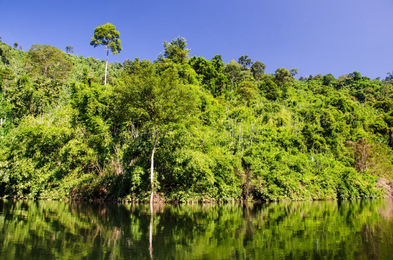Reservoir in forest. stock image. Image of park, clear - 37050931