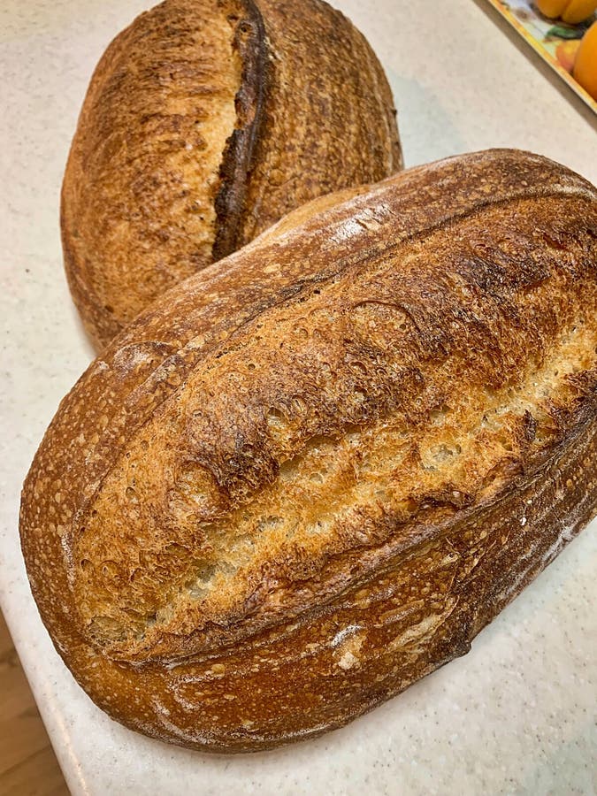 Resh Crusty Bread, Artisan Wheat Bread, Wheat Bread Stock Photo - Image ...