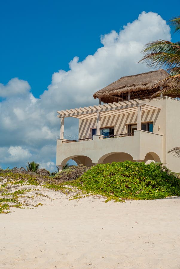 Sea Shells Drawings Stock Photos - Free & Royalty-Free Stock Photos ...