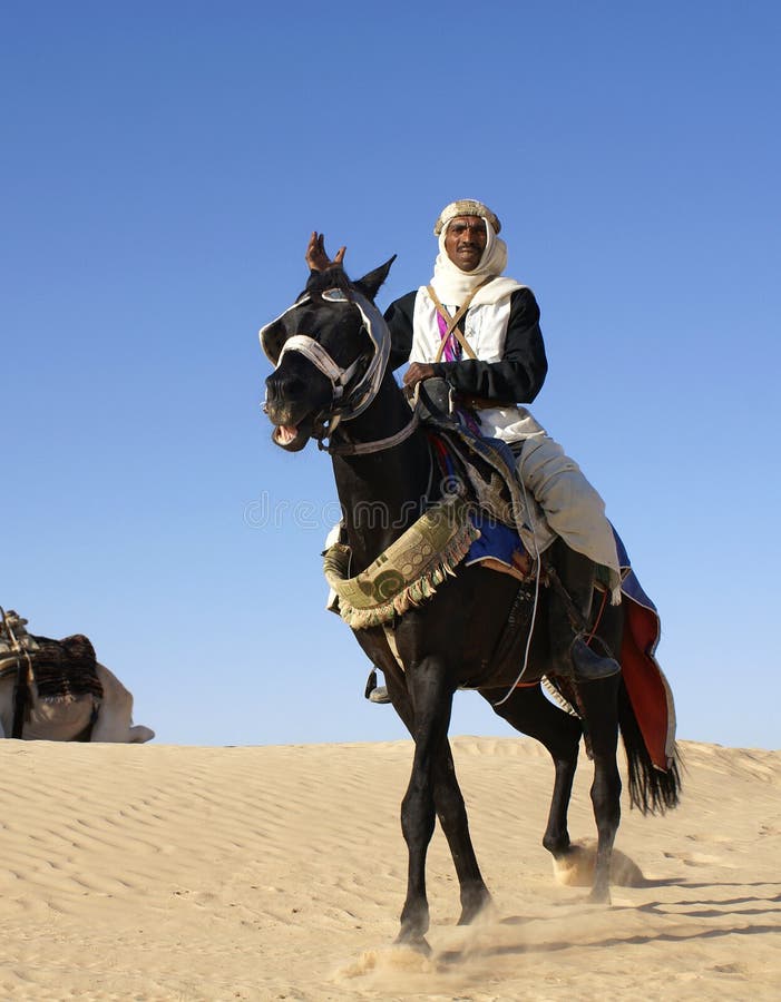 Old western cowboy roper stock image. Image of male, rider - 11809257