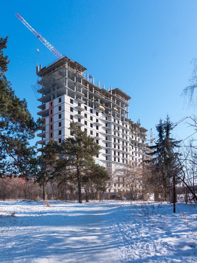 Residential Building Construction Place in Winter Forest with a Pine ...