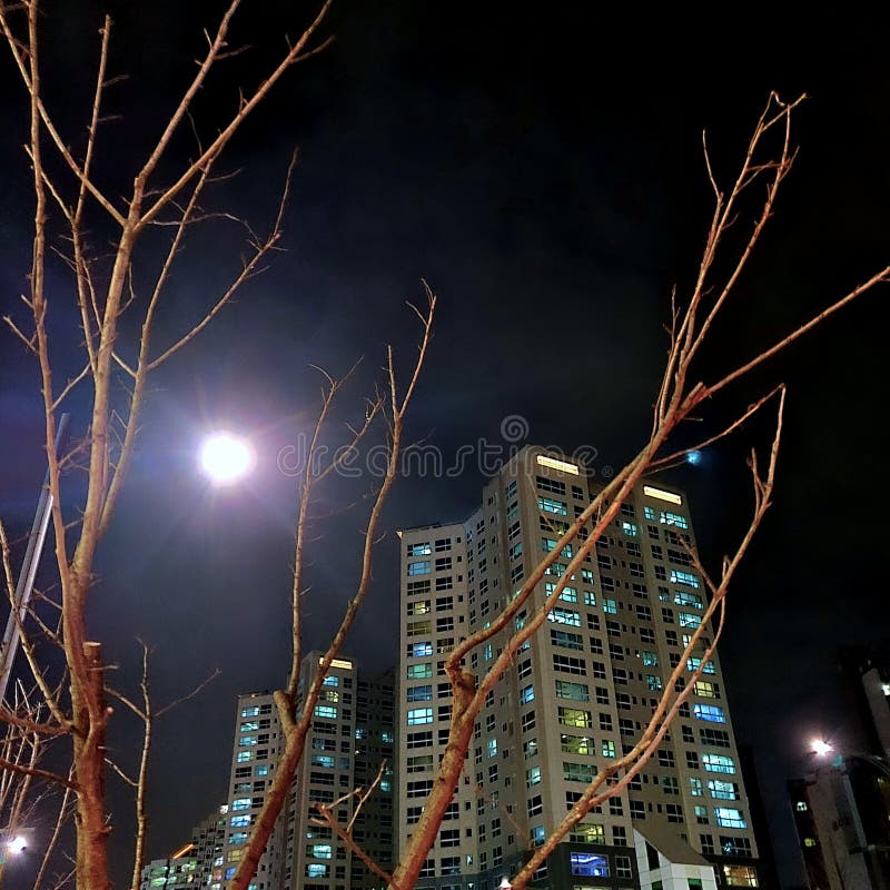 Residential Building at Night with Moon and Tree Stock Photo - Image of ...