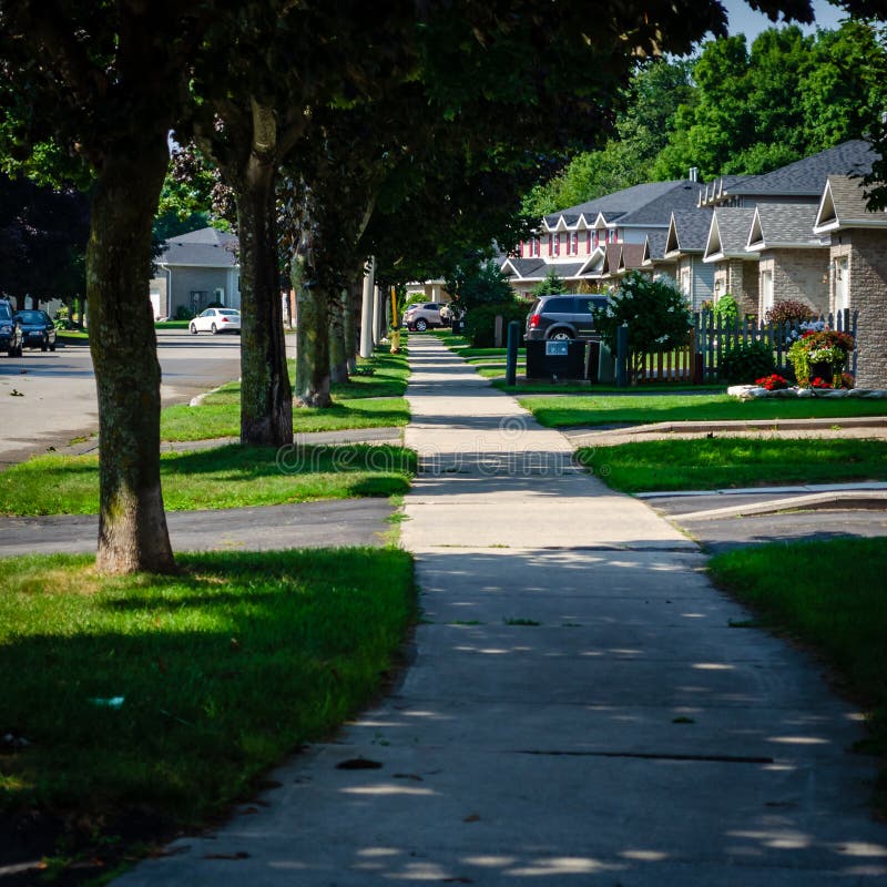 Residential Row-houses Lined Up on the Right, with a Row of Trees ...