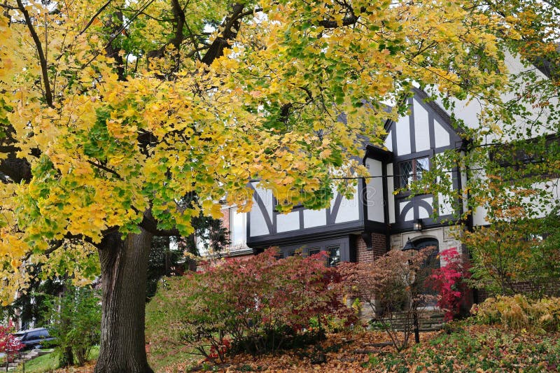 Residential Street with Fall Foliage Stock Photo - Image of residential ...