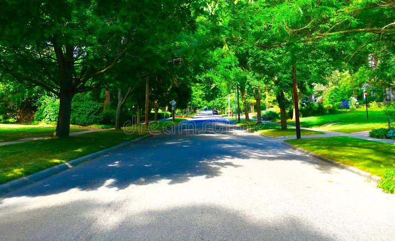 Residential Street stock photo. Image of road, summer - 75161604