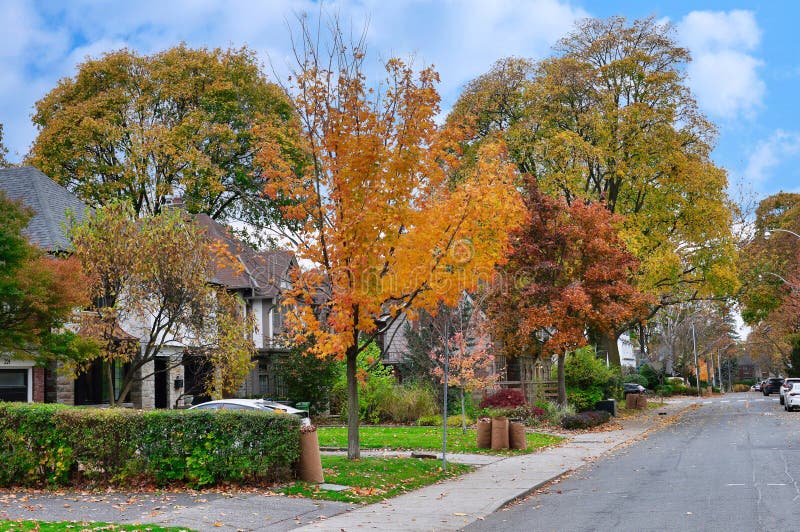 Residential Street with Fall Foliage Stock Image - Image of fall ...