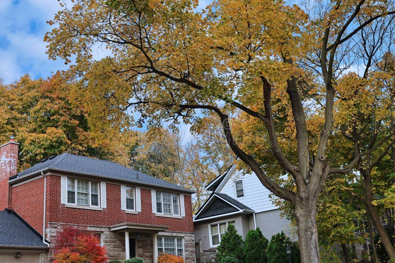 Residential Street with Fall Foliage Stock Photo - Image of autumn ...