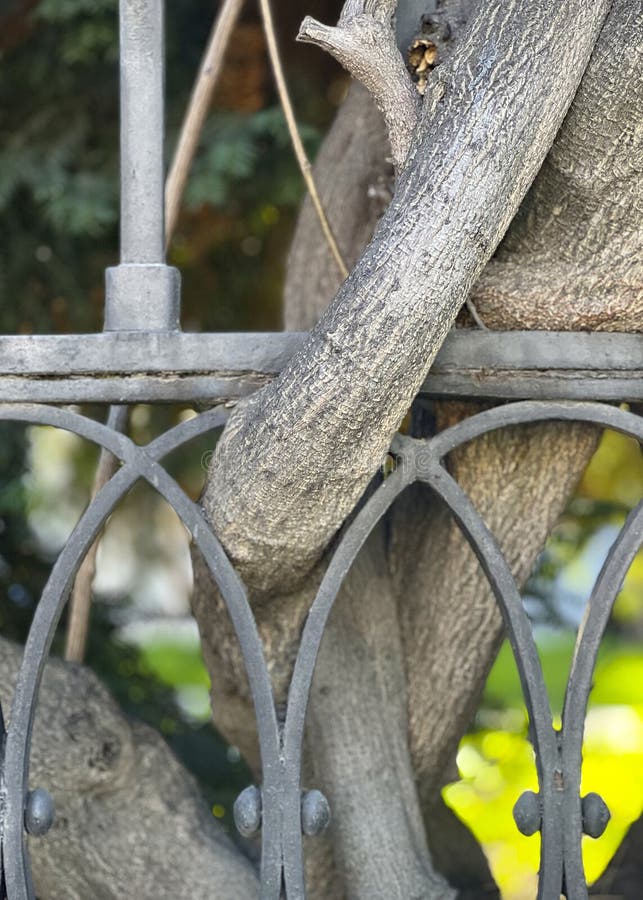 Resilience Concept in an Image Stock Photo - Image of mental, wood ...