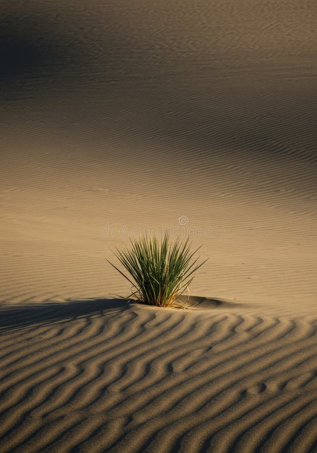 Resilient Desert Plant Amidst Sand Dunes Stock Illustration ...
