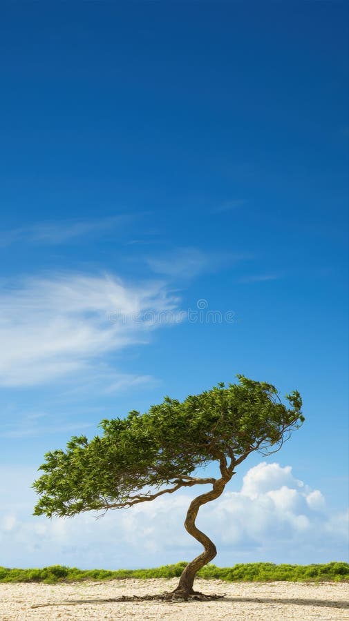 Resilient Tree Standing Alone on a Beach Enduring the Harsh Winds and ...