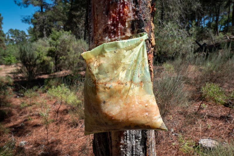 Resin Eextraction for Polymer Industry Stock Photo - Image of local ...