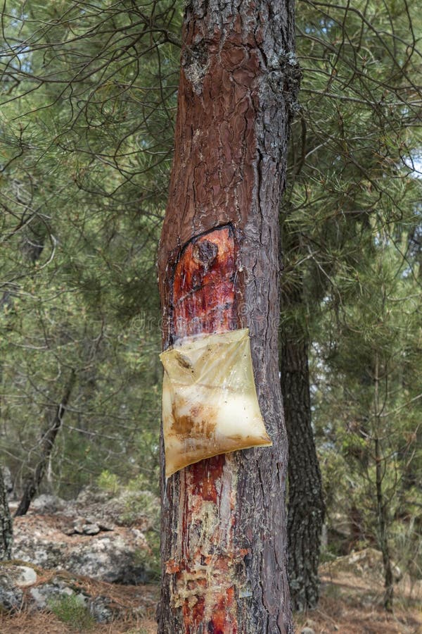 Plastic Resin Flow Stock Photos - Free & Royalty-Free Stock Photos from ...