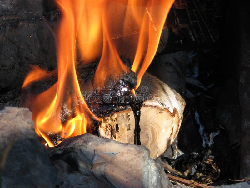 Resin in the fire stock photo. Image of soil, campfire - 207188374