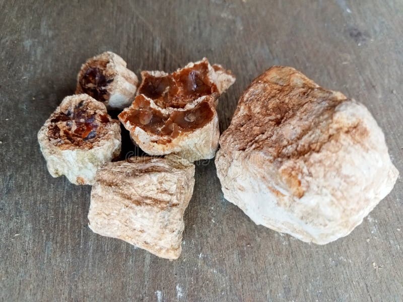 Resin is Sap from Trees that Hardens Using a Natural Process Stock ...