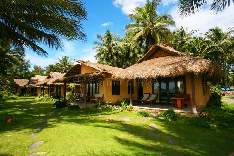 Resort stock image. Image of table, door, tree, chair - 8174791