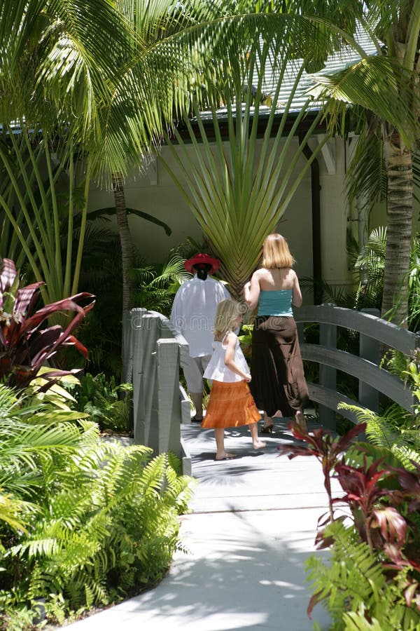 Resort Bridge stock photo. Image of tropical, resort, vacation - 5221322