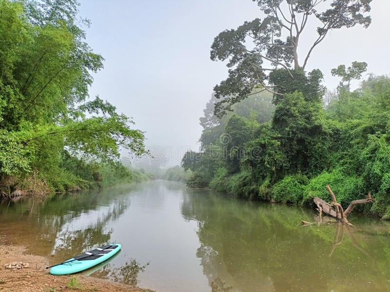 Bung Tara Stock Photos - Free & Royalty-Free Stock Photos from Dreamstime