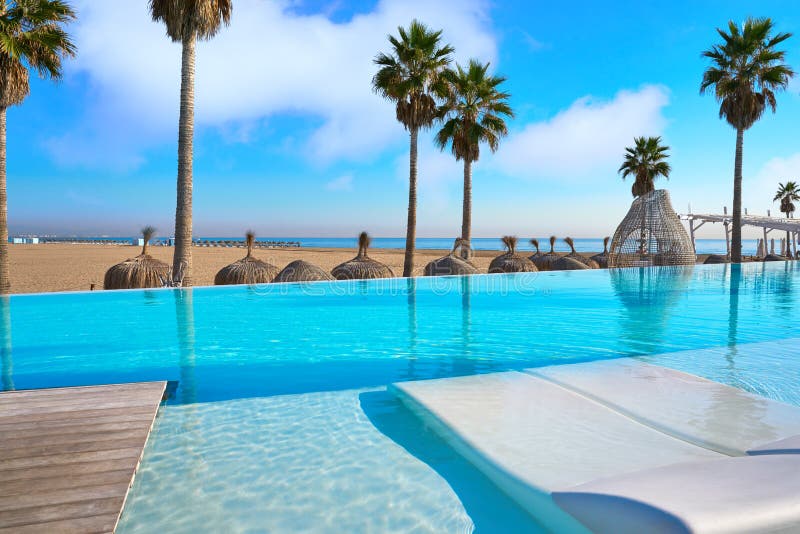 Resort Infinity Pool in a Beach with Palm Trees Stock Image - Image of ...