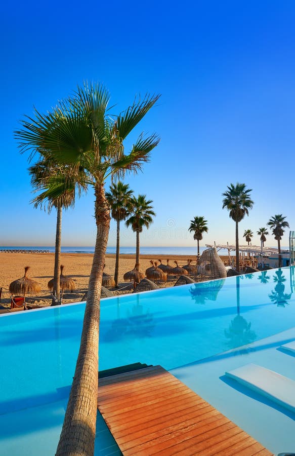 Resort Infinity Pool in a Beach with Palm Trees Stock Image - Image of ...