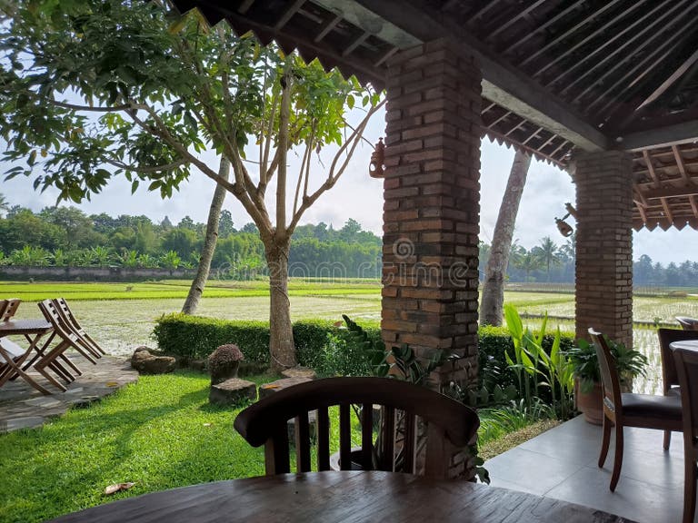 Resort in the Middle of Rice Fields Around Borobudur Temple Magelang ...
