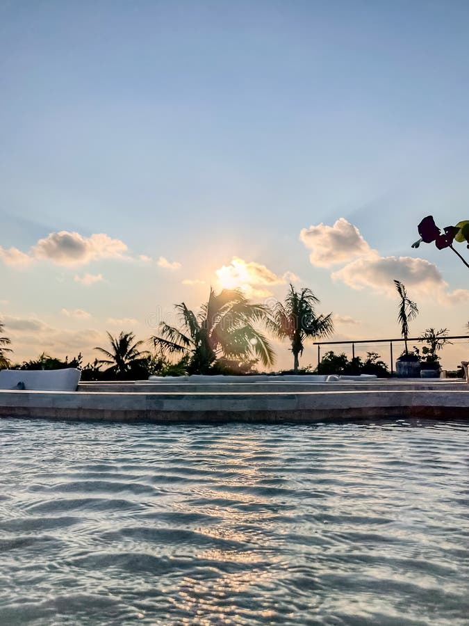 Resort Pools, Palm Trees, and Reflections at Golden Hour Stock Photo ...