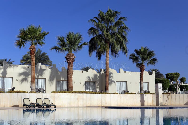 Resort Swimming Pool for Relaxation with Sunbeds Stock Photo - Image of ...